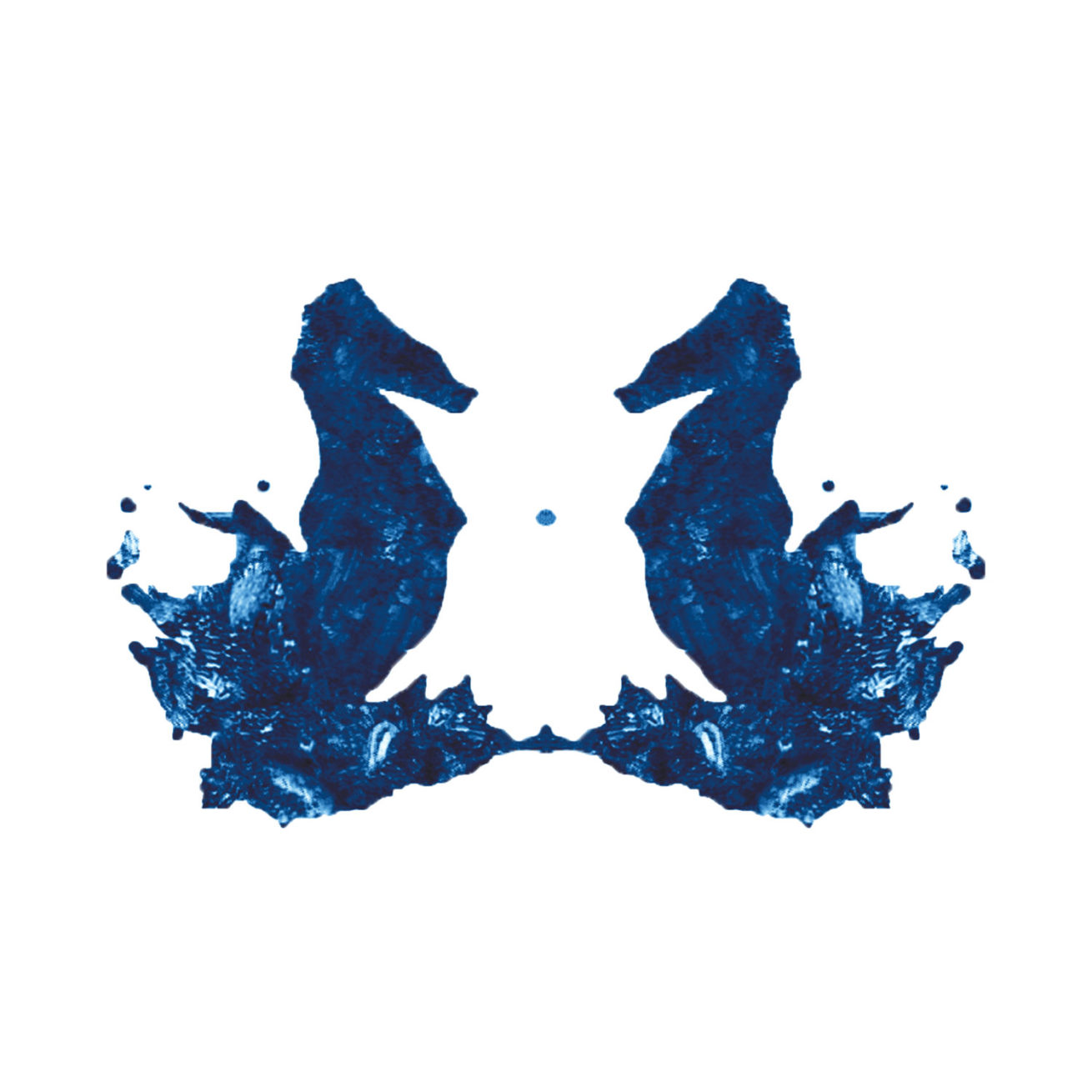Seahorses Annie Bradbrook